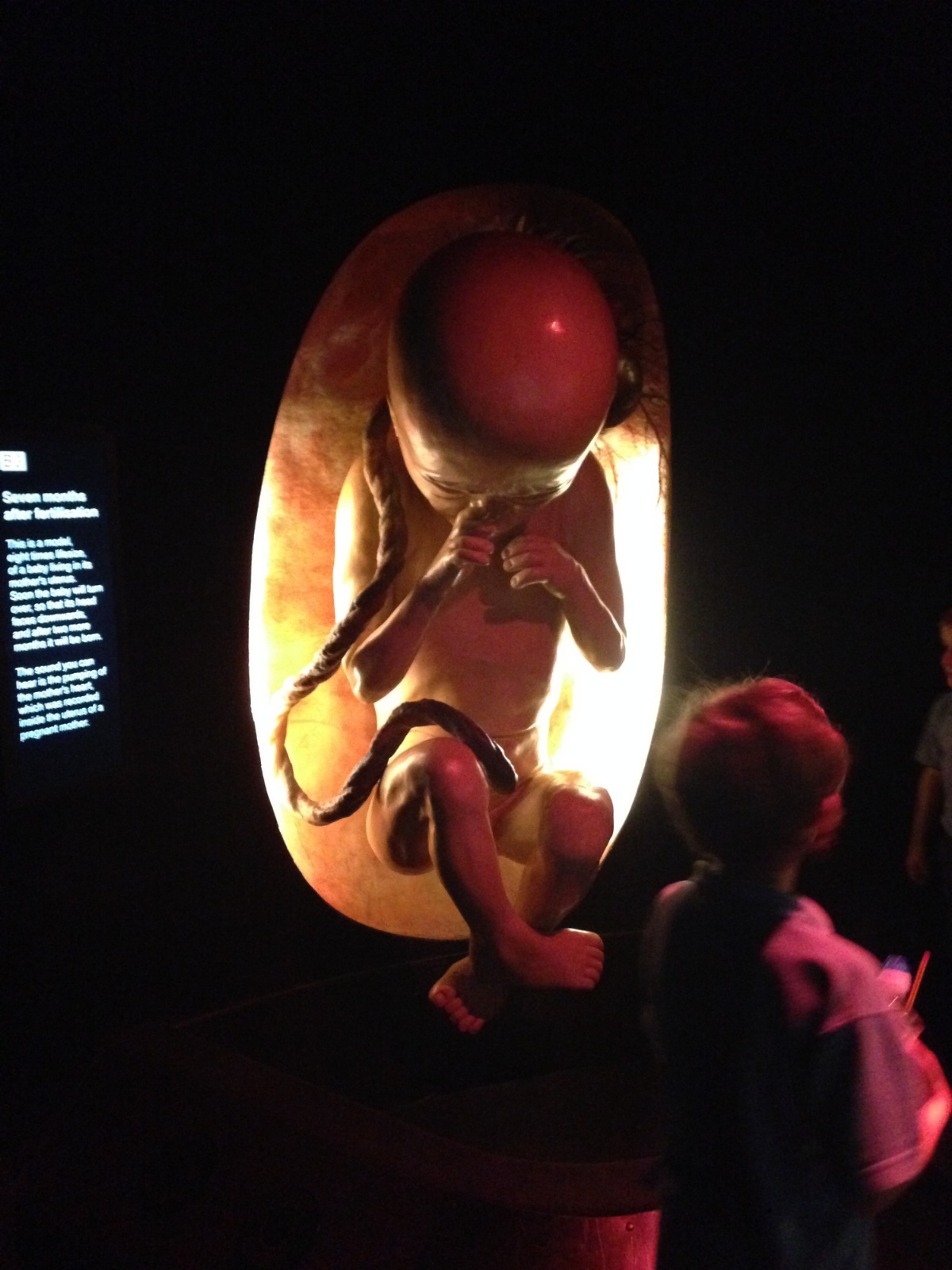 London Trip 10.11.15 - Oaklands Catholic School and Sixth Form College