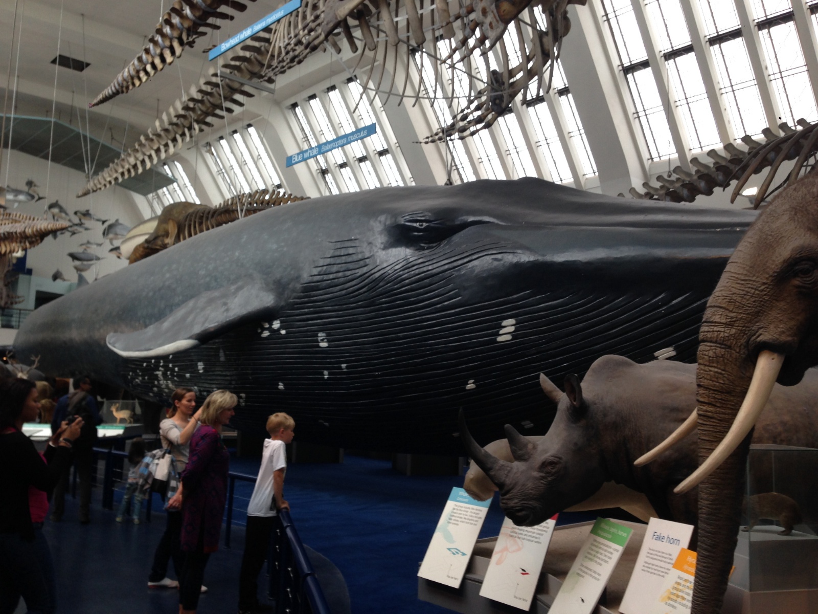 London Trip 10.11.15 - Oaklands Catholic School and Sixth Form College