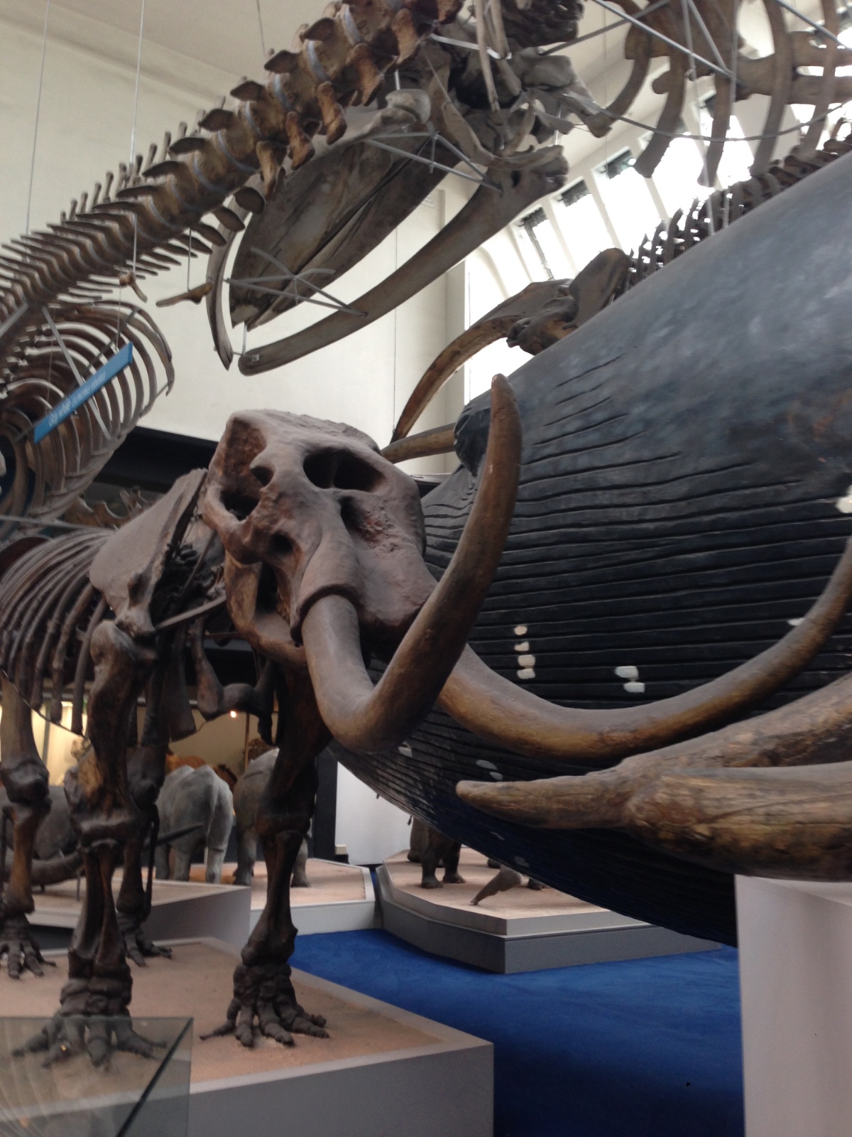 London Trip 10.11.15 - Oaklands Catholic School and Sixth Form College